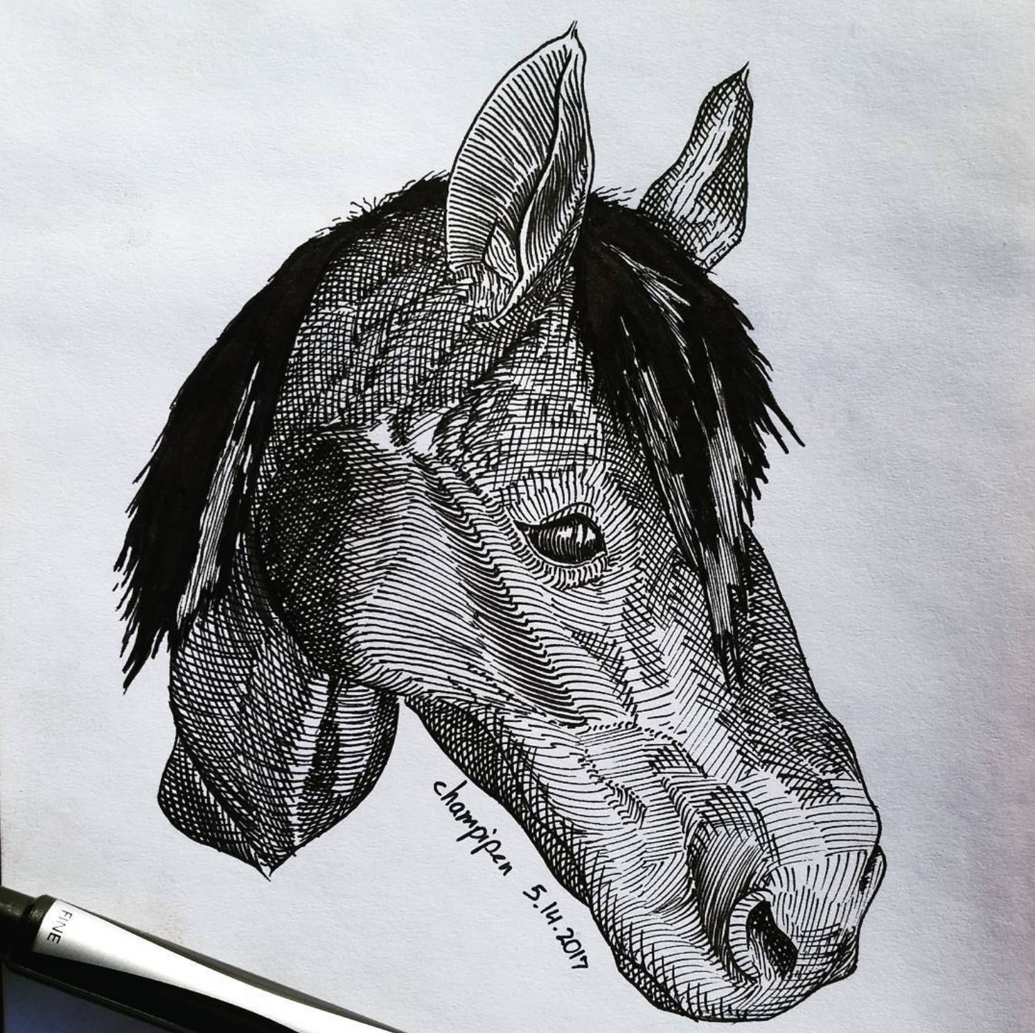 Portfolio – Nolan Christensen