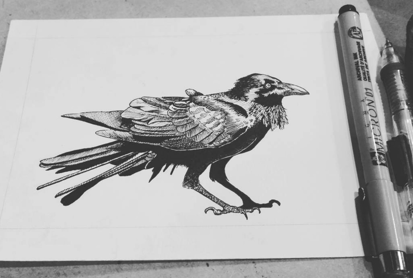 Portfolio – Nolan Christensen