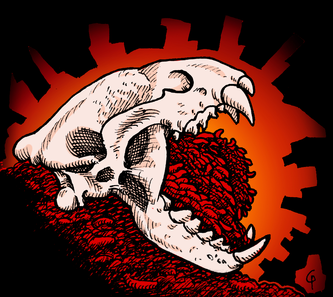 Portfolio – Nolan Christensen